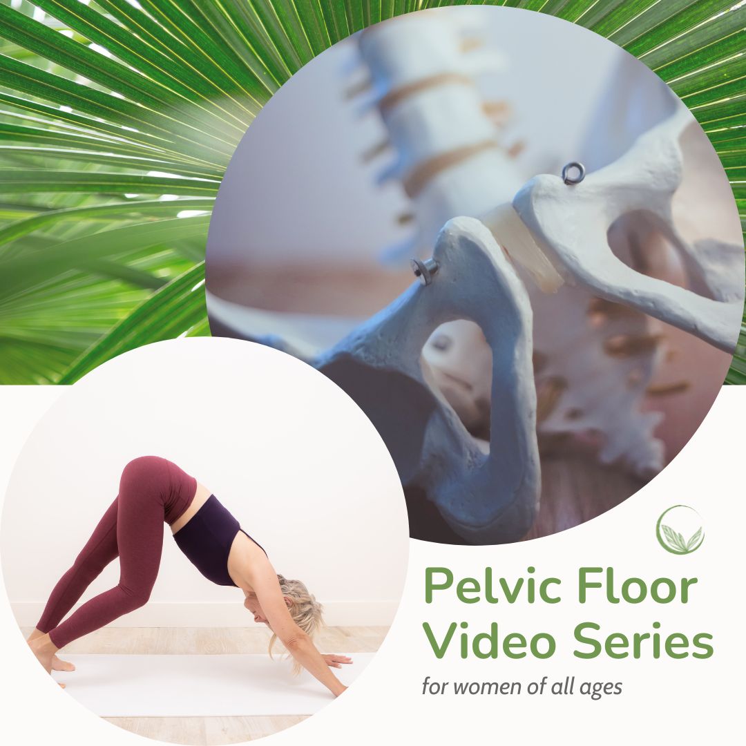 Pelvic Floor Video Series: At-Home Program to Heal Dysfunction